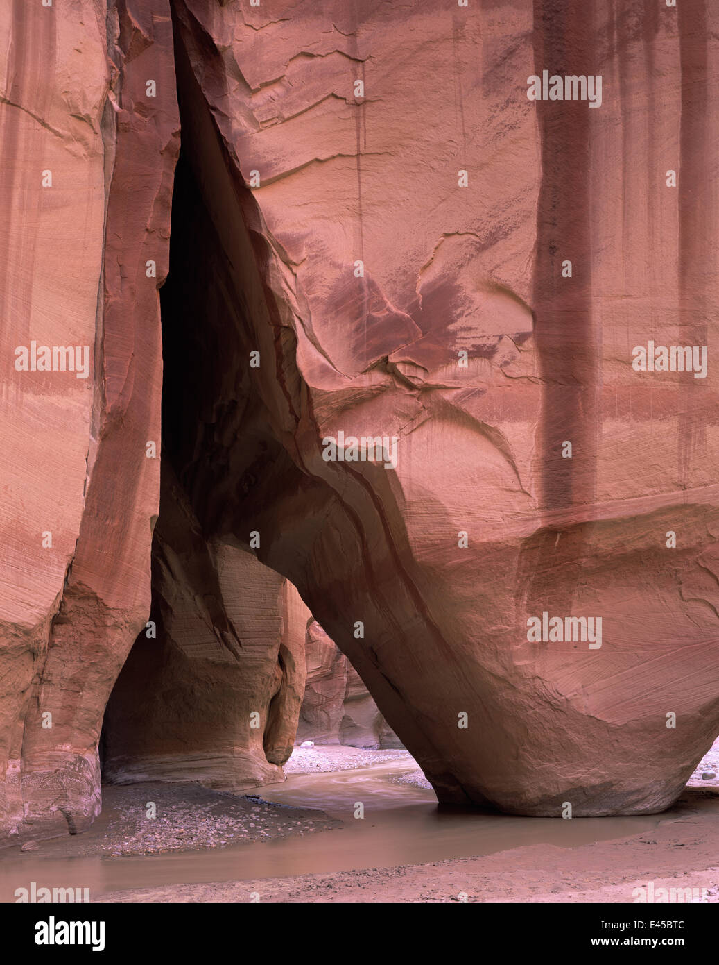 A river flowing through a rock arch formed by giant Navajo Sandstone ...