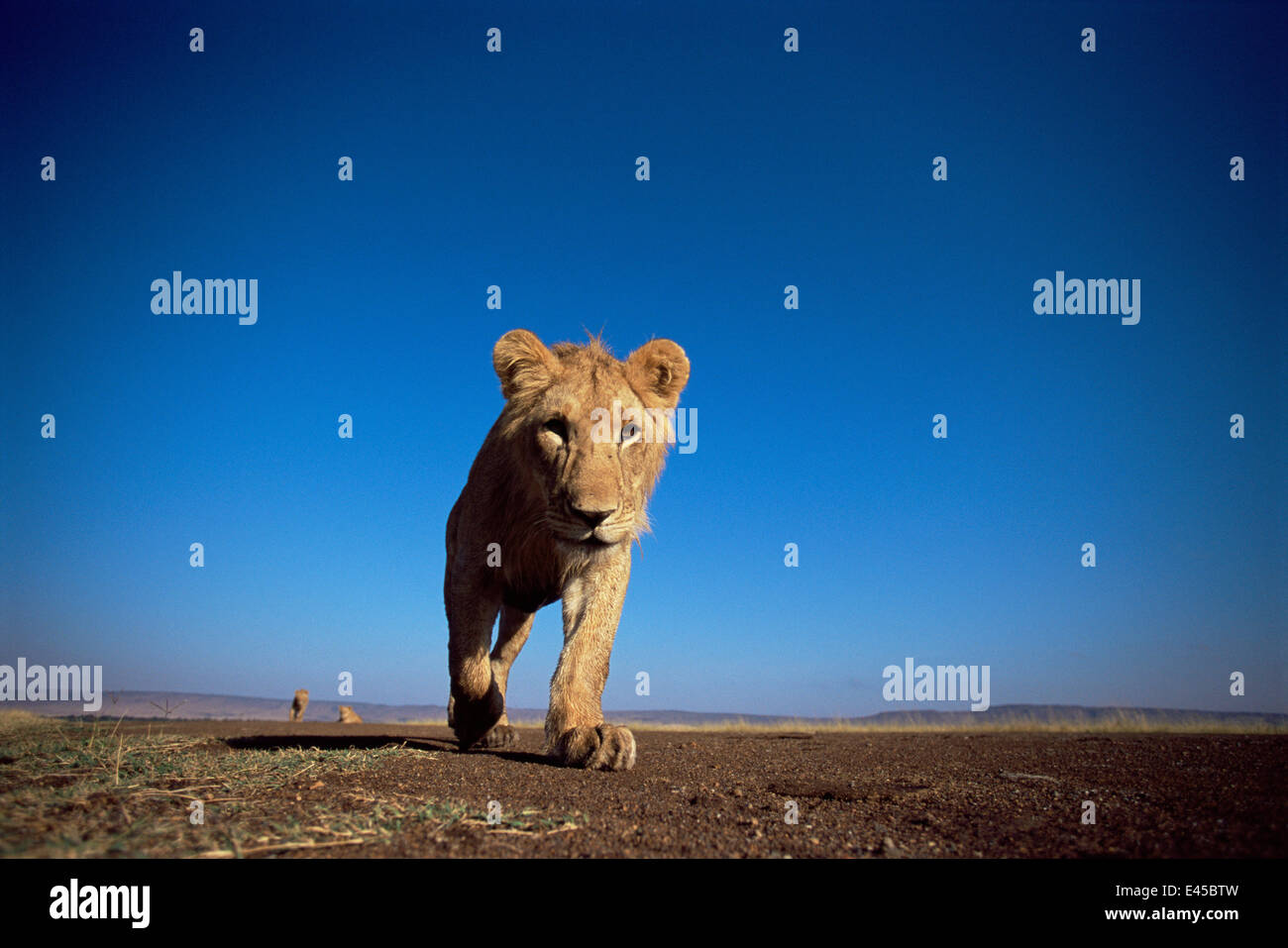 Llow angle hi-res stock photography and images - Alamy