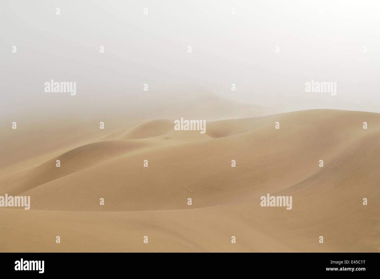 Fog over sand dunes in the namib desert hi-res stock photography and ...