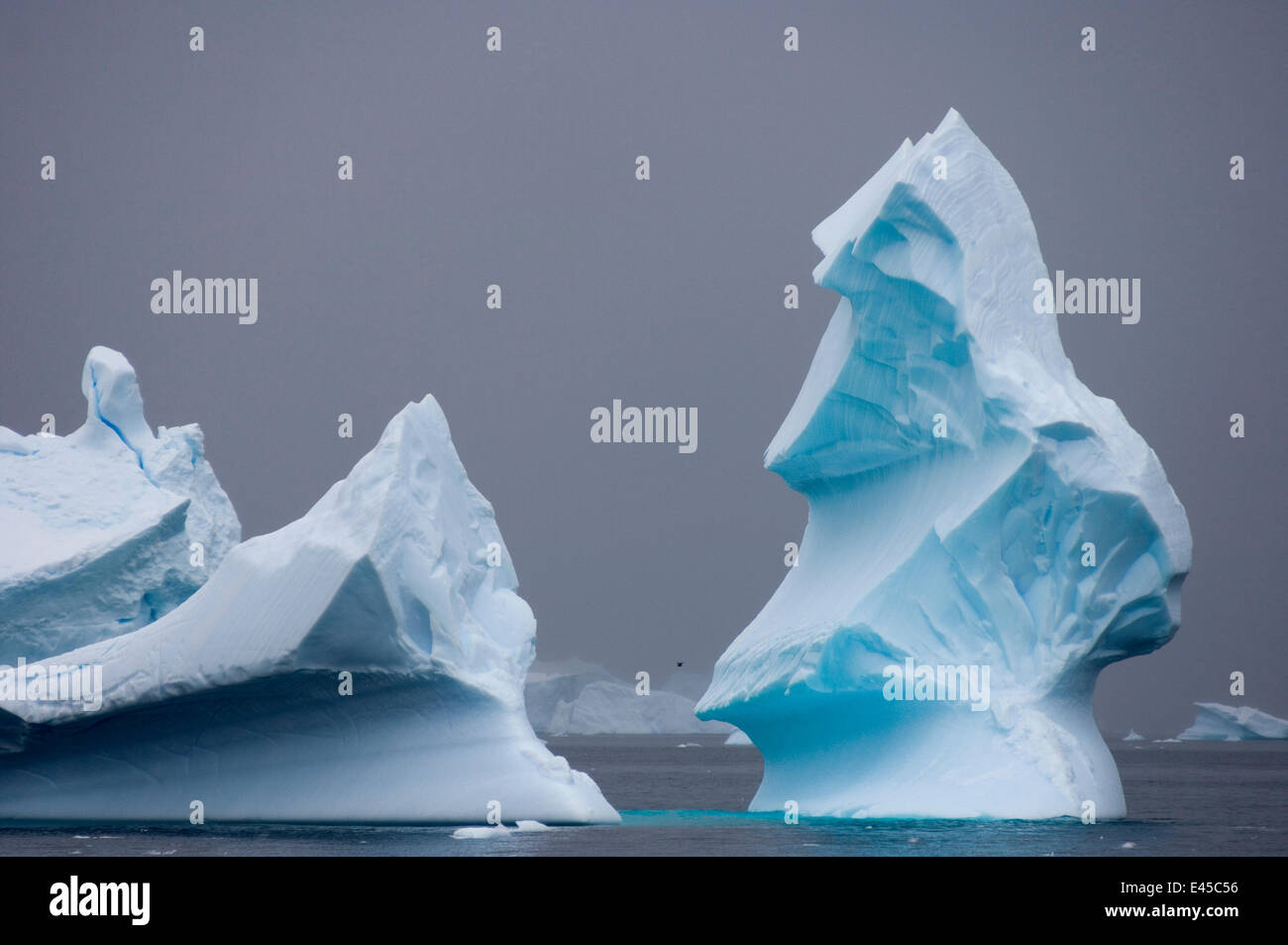 Tall iceberg floating off the western Antarctic peninsula, Antarctica ...