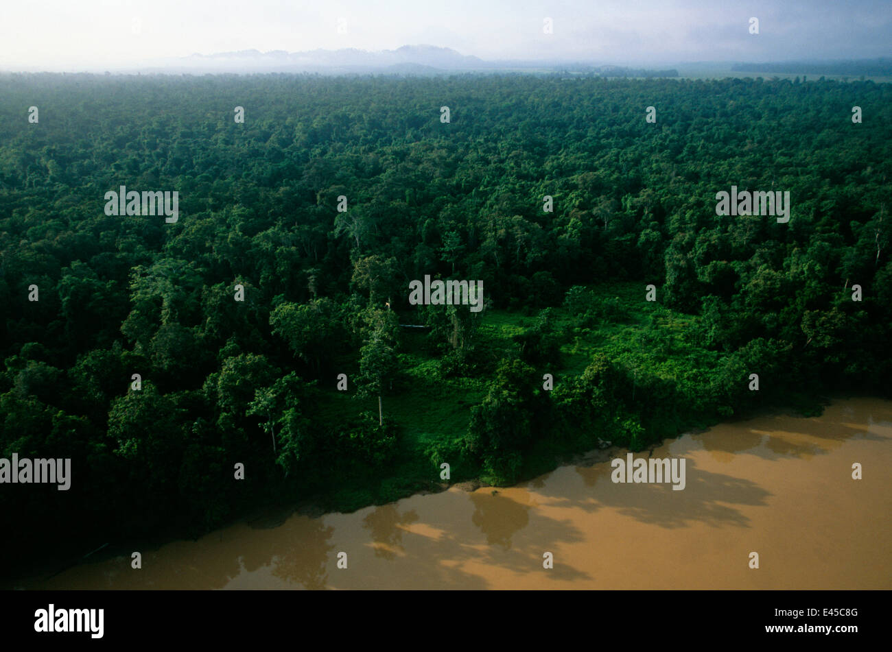 Aerial view of rainforest and river, Kinabatangan Wildlife Sanctuary ...
