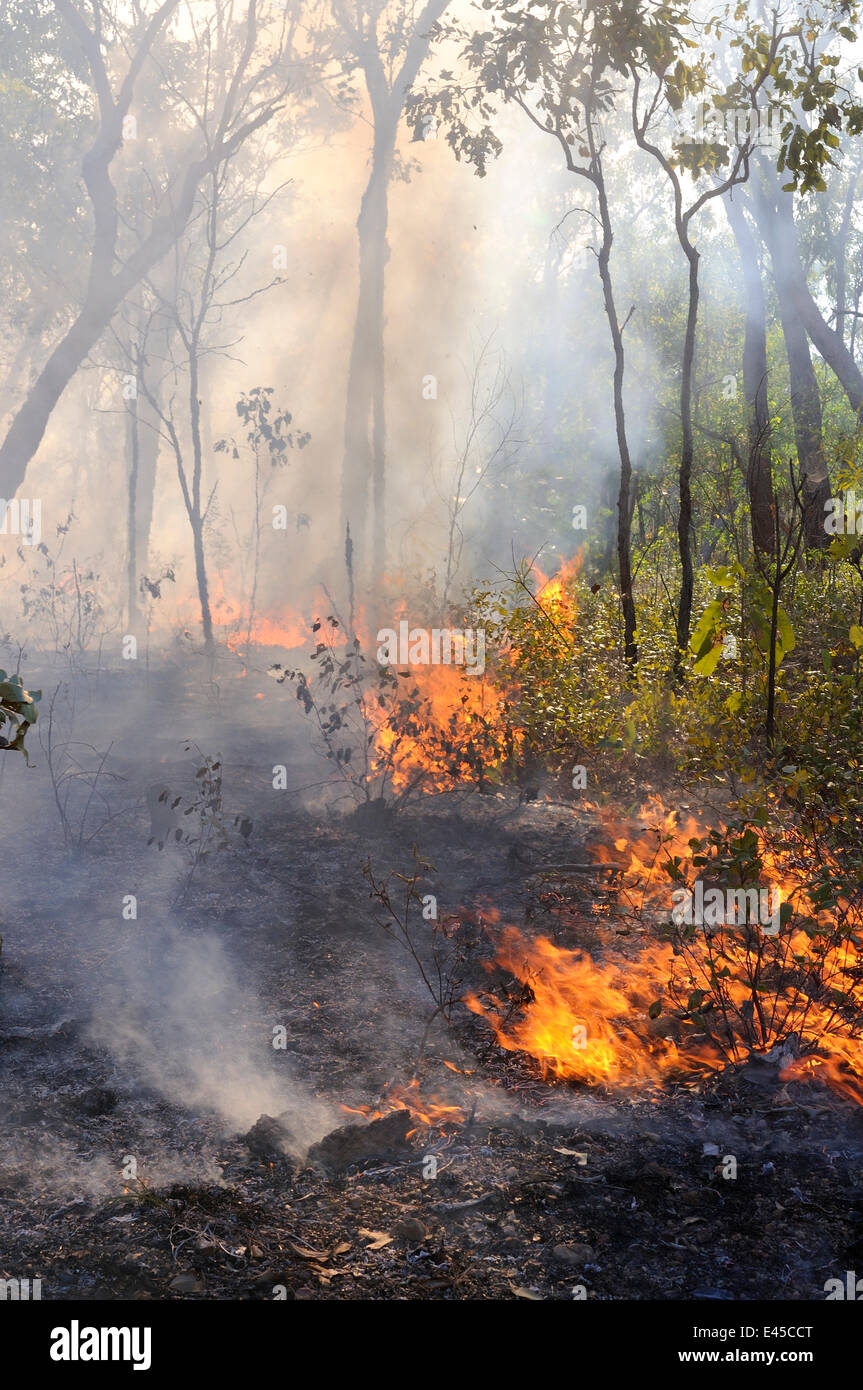 Fire during dry season hi-res stock photography and images - Alamy