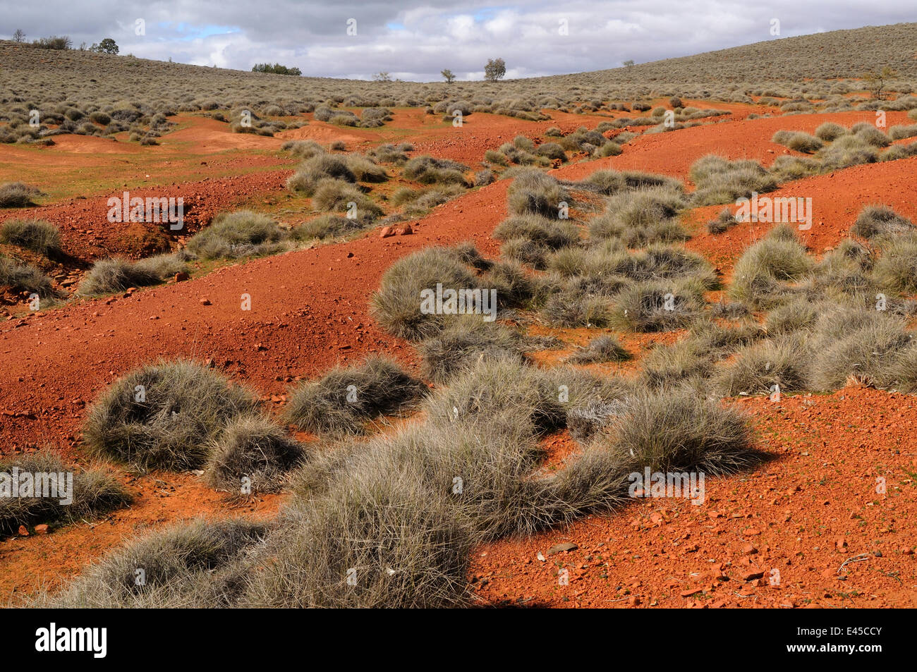 Flinders ranges national park hi-res stock photography and images - Alamy