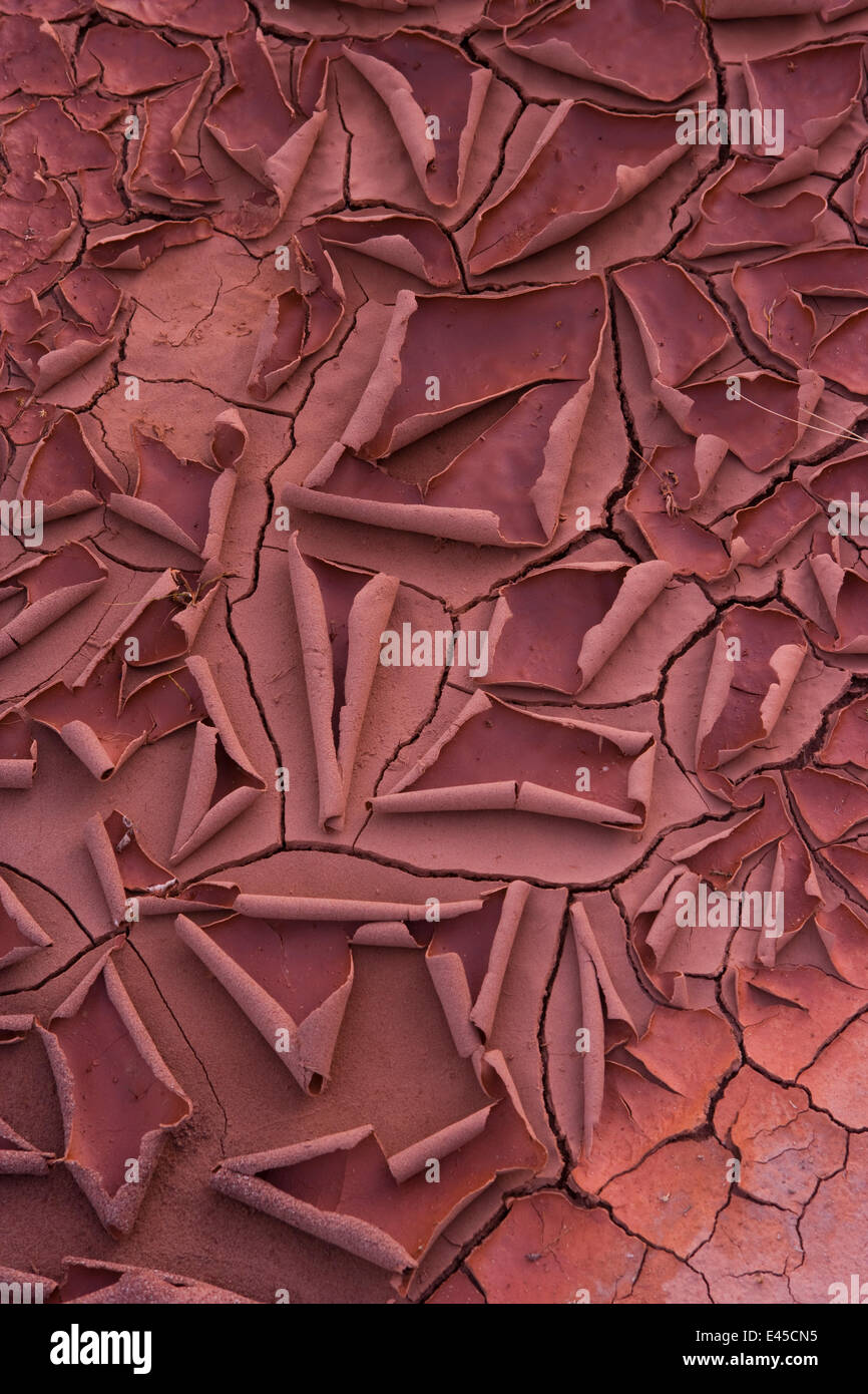 Flakes of dried mud, Arizona, USA Stock Photo - Alamy
