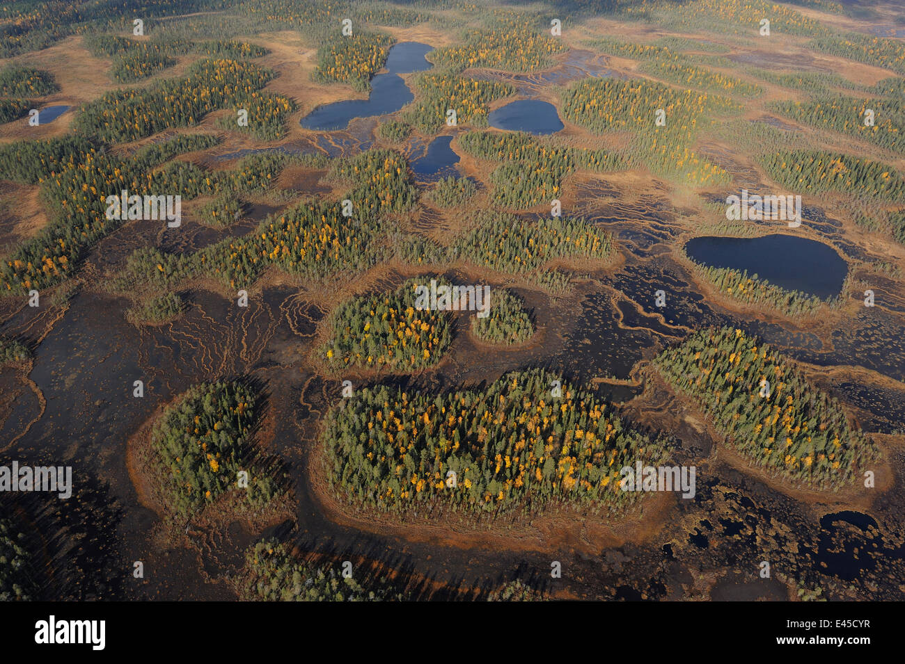 Aerial view of Peat bog, Oulanka National Park, Finland, September 2008 ...