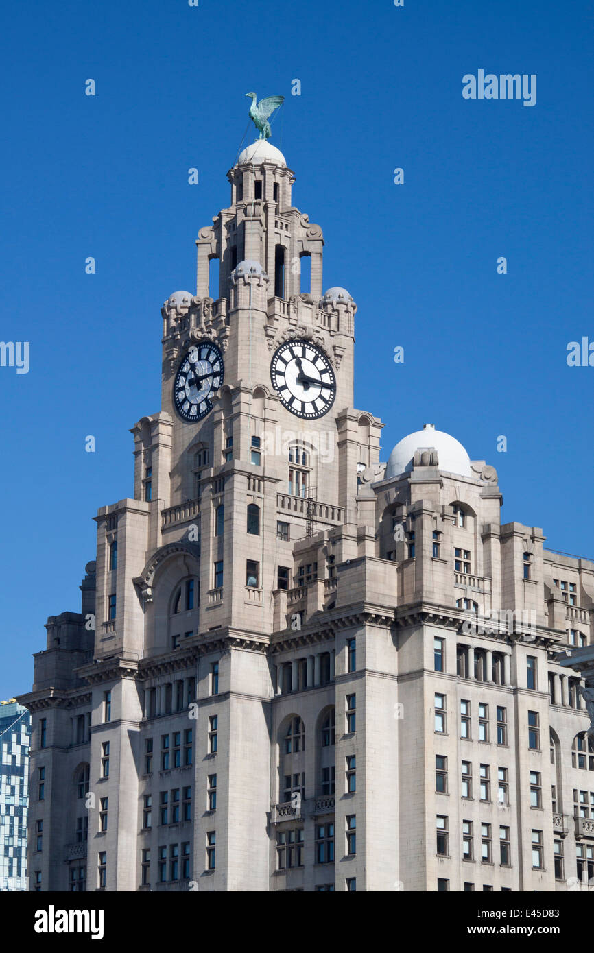 Liver Building on Liverpool's waterfront, showing the clock tower and ...