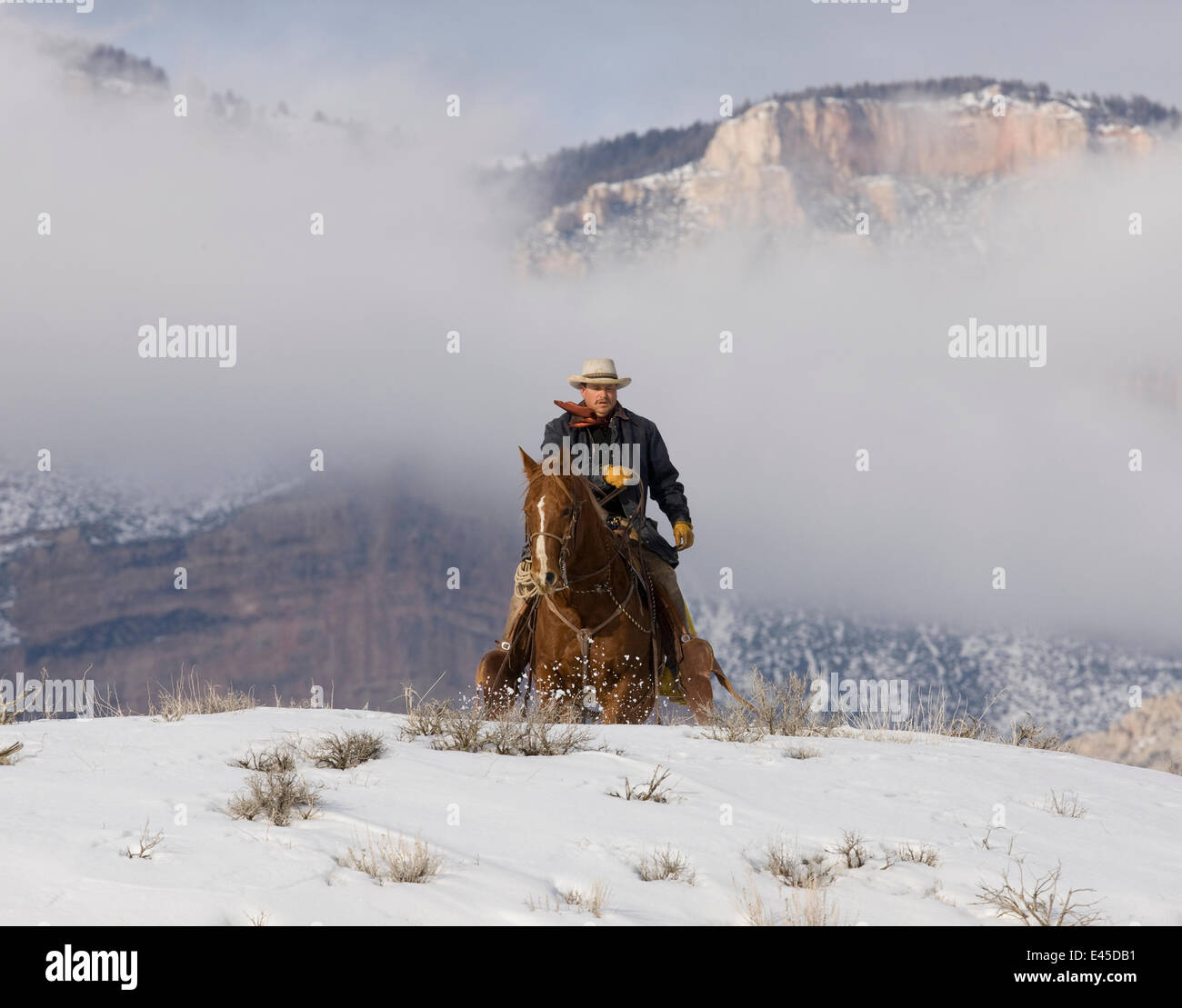 Cowboys riding horses in snow hi-res stock photography and images - Alamy