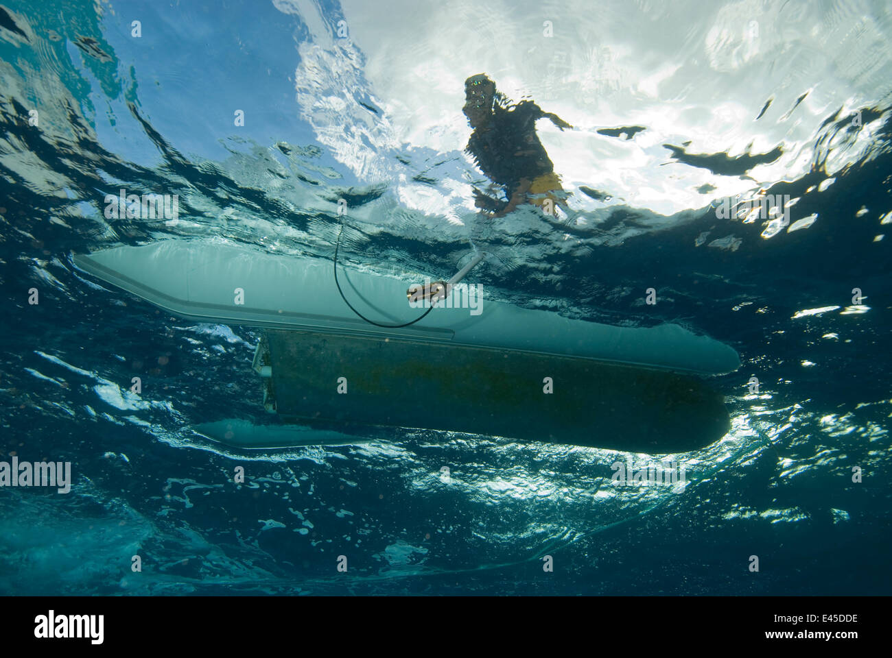 Boat at surface tracking Nautilus movements with a mobile receiver, off ...