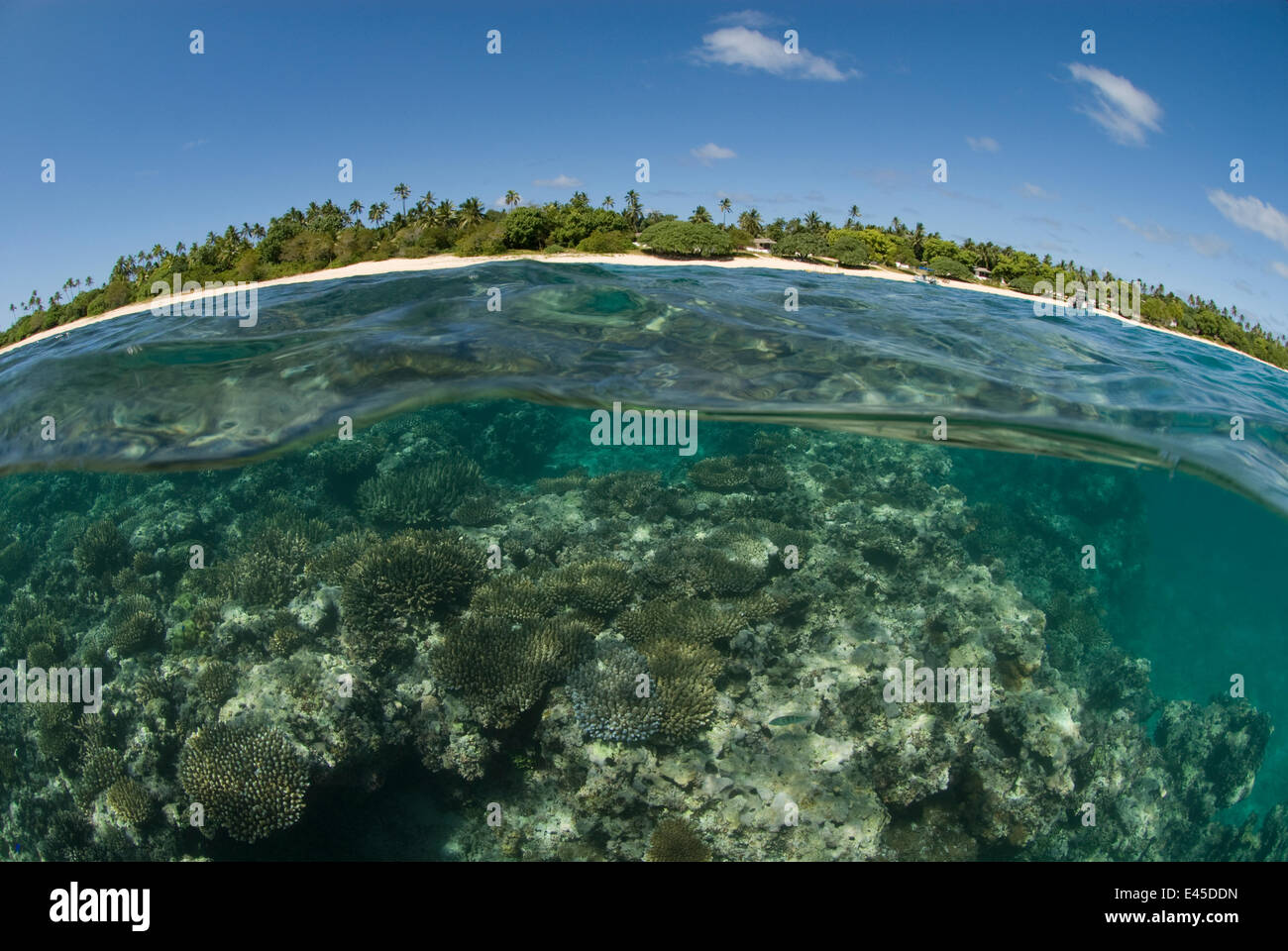 Split level of coral reef and Sandy Beach Resort, Ha'apai Islands ...