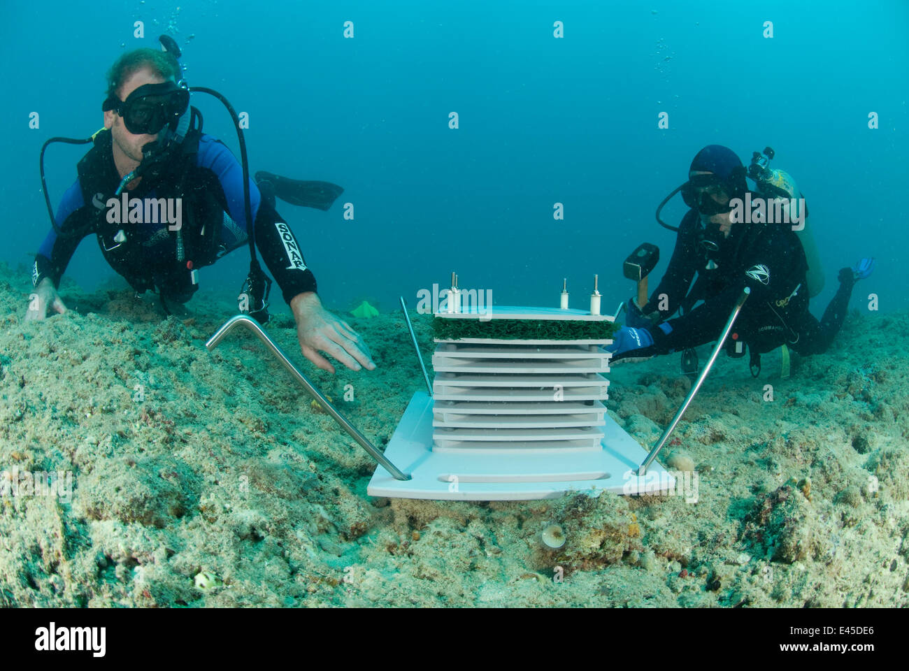 Artificial reef australia hi-res stock photography and images - Alamy