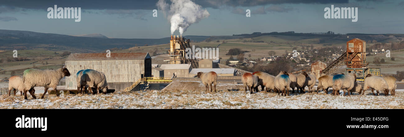 Sheep grazing in front of Cemex Cement Works and Limestone Crushing ...