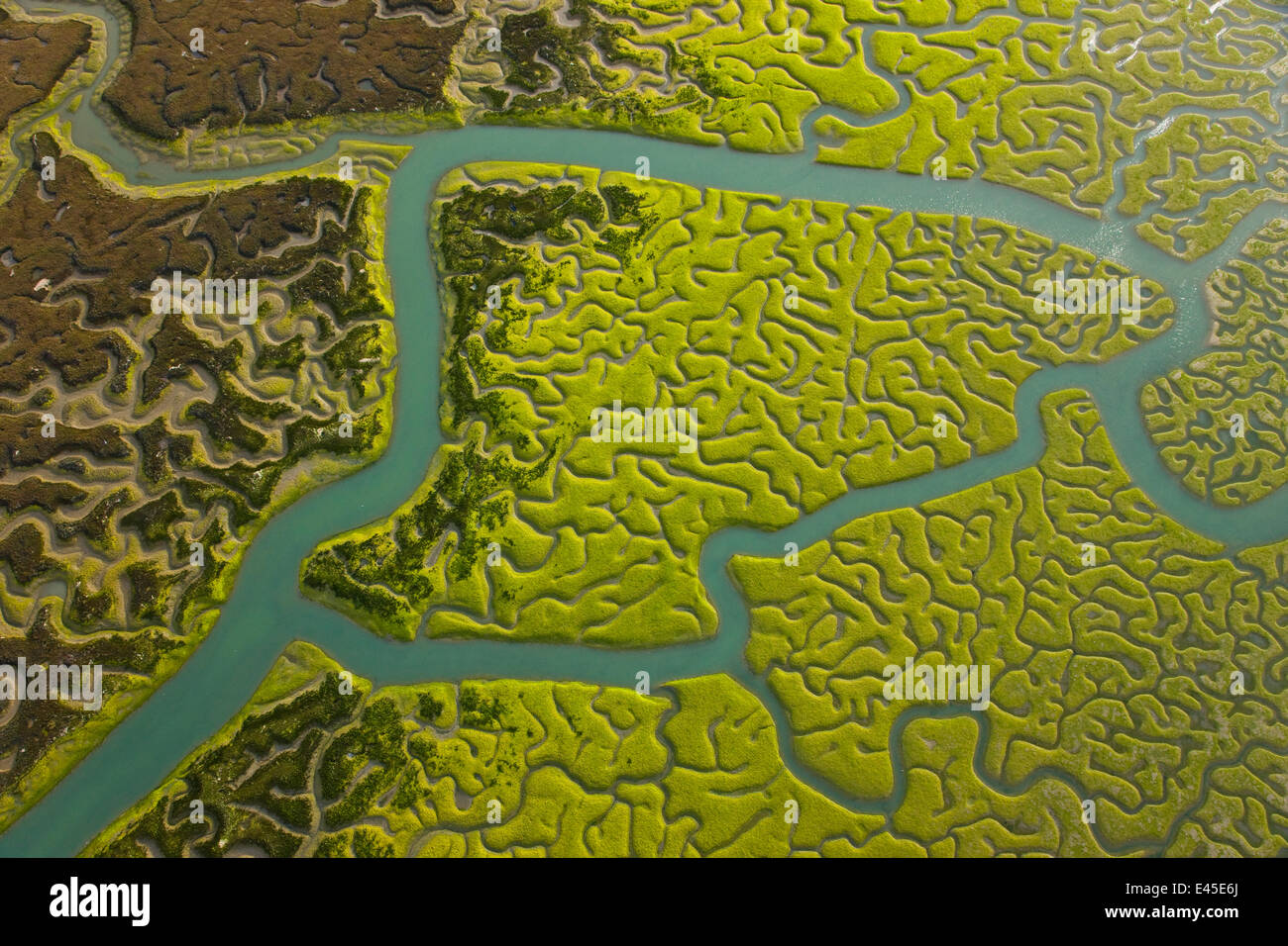 Aerial view of the rivers and saltmarshes of the Bahia / Bay de Cadiz ...