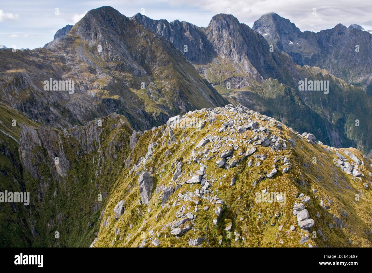 Aerial view of Fiordland National Park, South Island, New Zealand ...