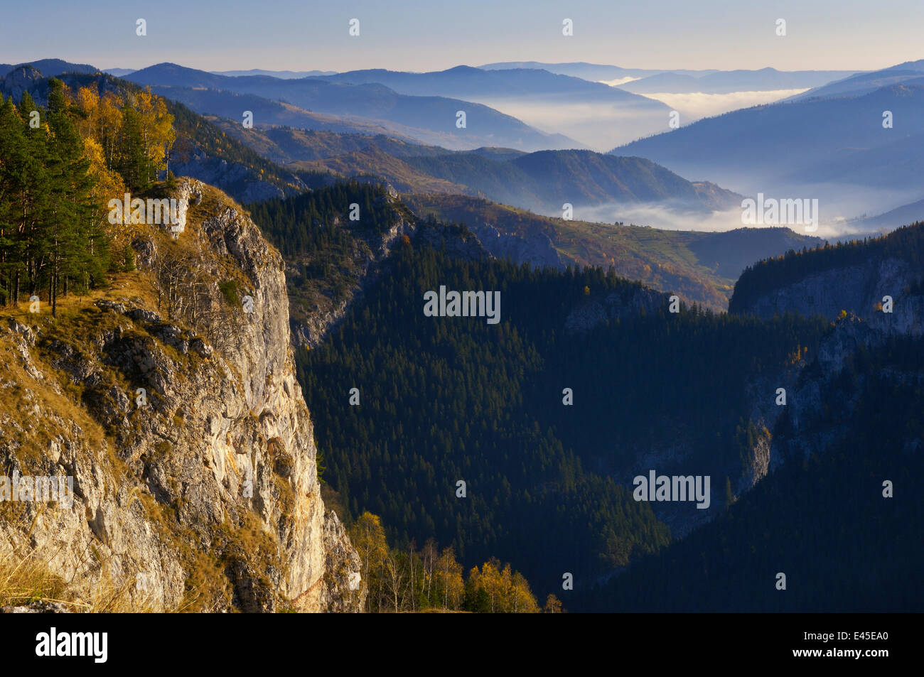 Bicaz Gorges at dawn, Cheile Bicazului-Hasmas National Park, Carpathian ...