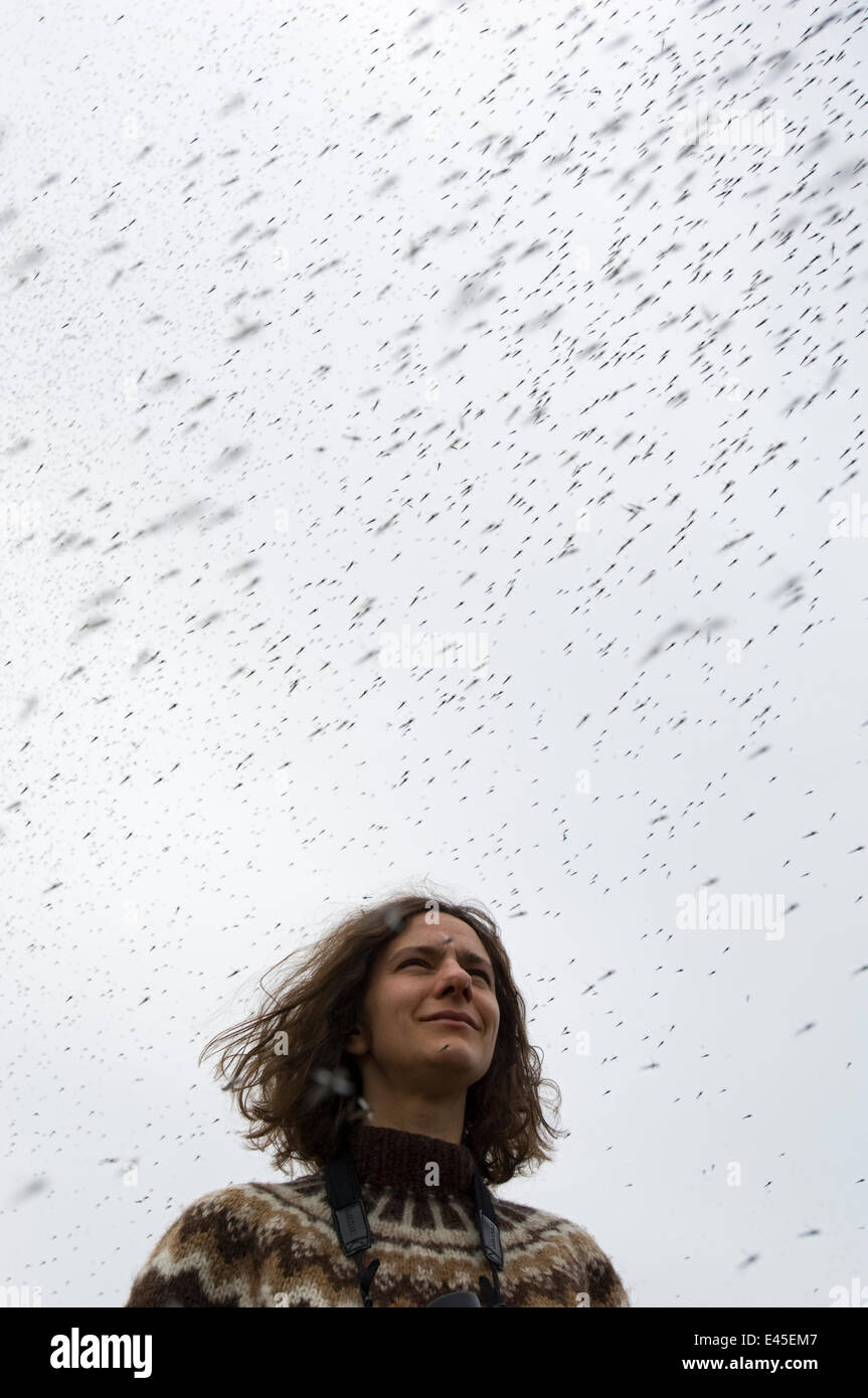 Photographer Orsolya Haarberg in a swam of midges, Myvatn, Iceland, May ...