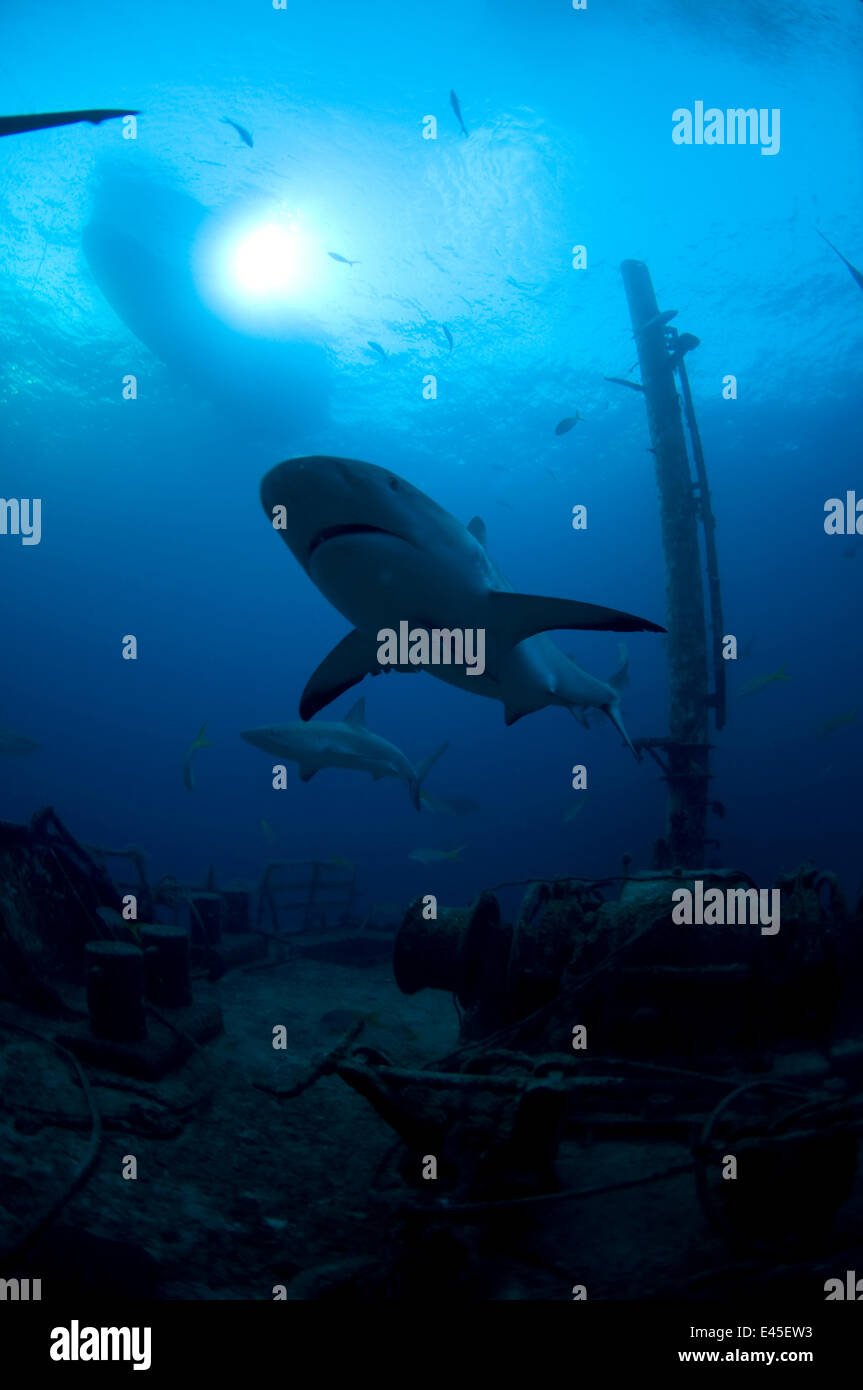 The wreck of hope hi-res stock photography and images - Alamy