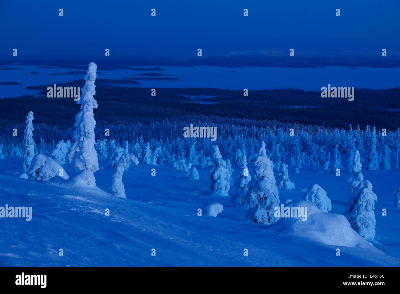 View over snow covered trees, with decreasing snow cover as altitude ...