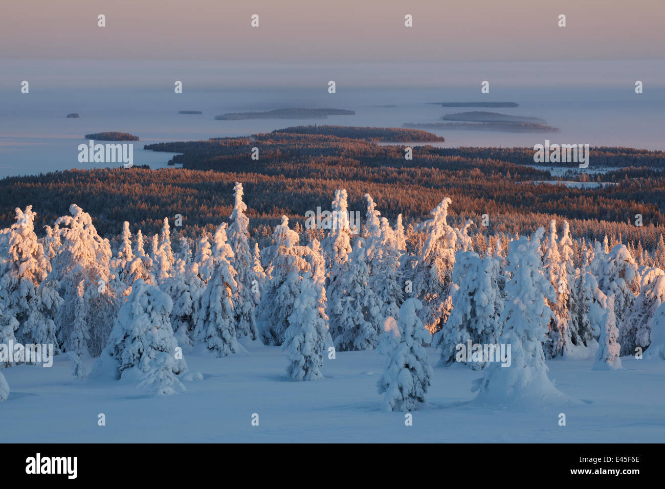 View over snow covered trees, with decreasing snow cover as altitude ...