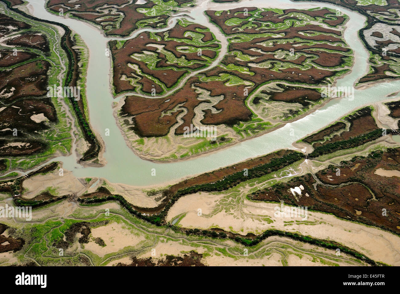 Inland freshwater marsh hi-res stock photography and images - Alamy