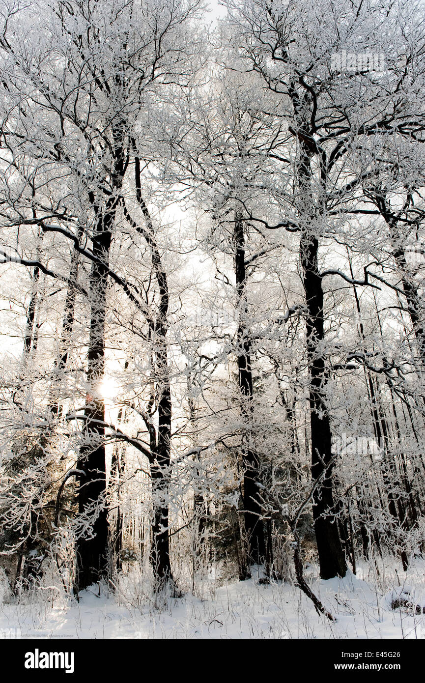 Poland stefano hi-res stock photography and images - Alamy