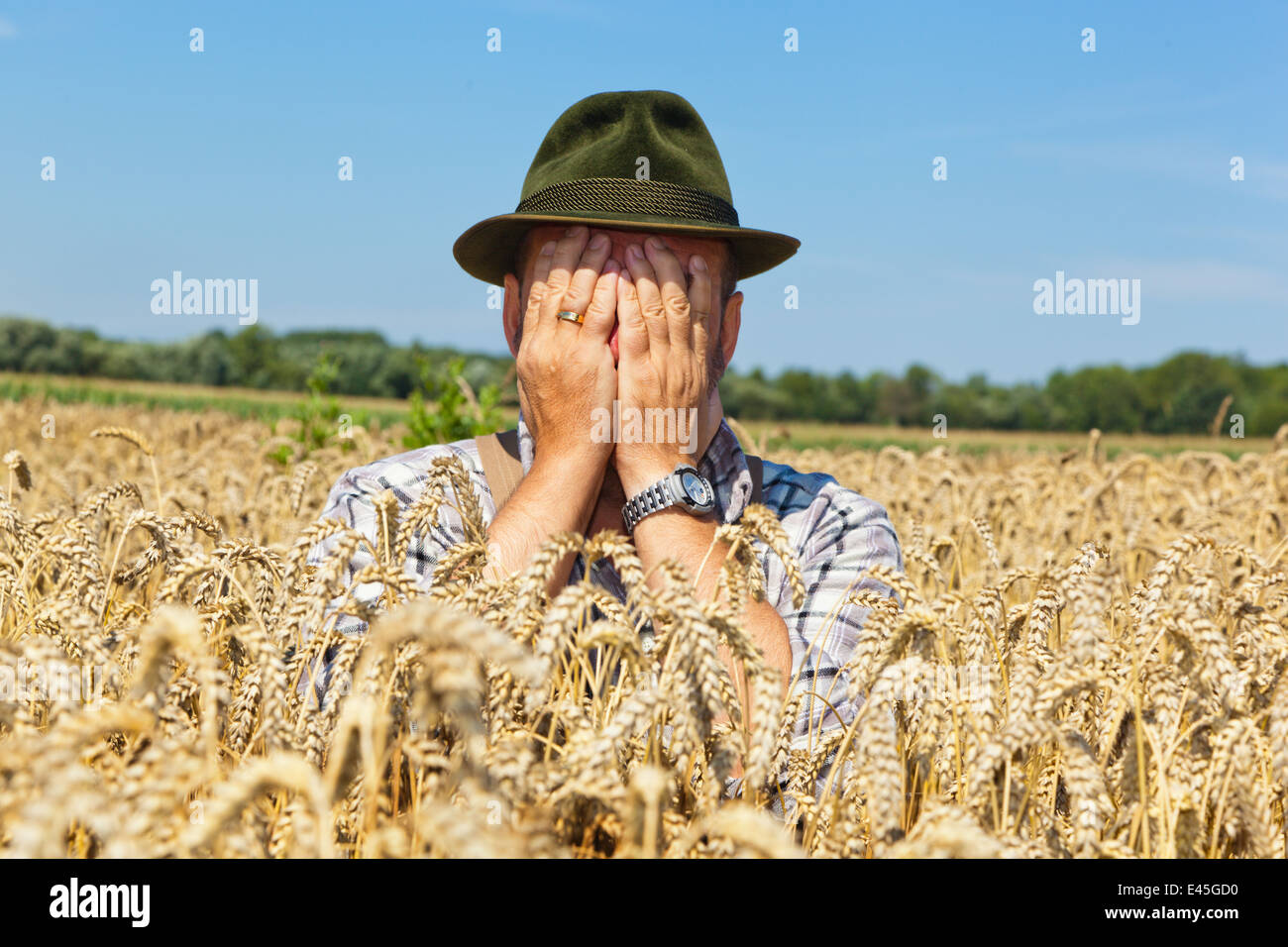 A thoughtful farmer sits in a corn field. Problems in agriculture Stock ...