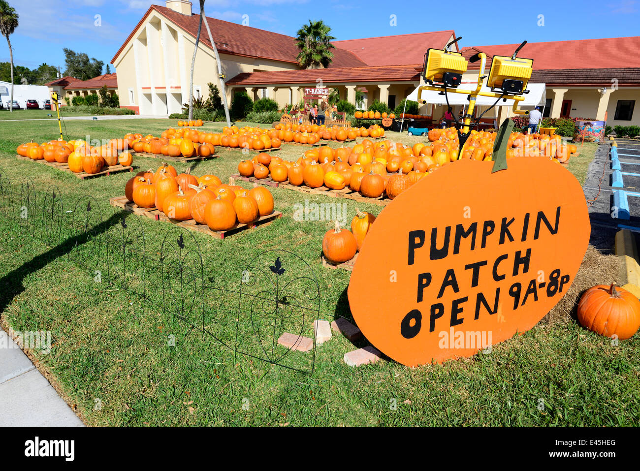 Pumkin sales hi-res stock photography and images - Alamy