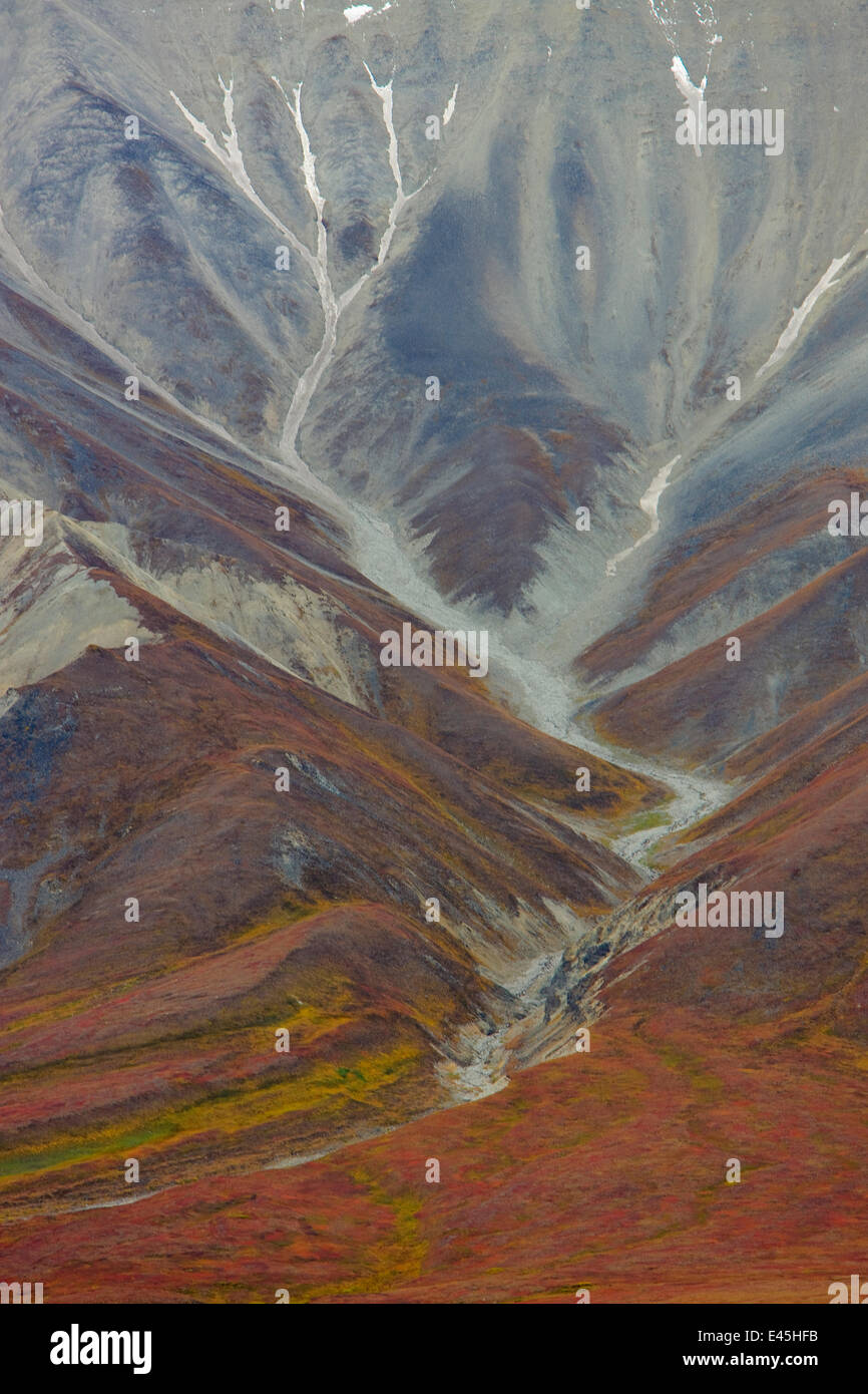 Aerial view of Polychrome Basin in Denali National Park, Alaska, USA ...