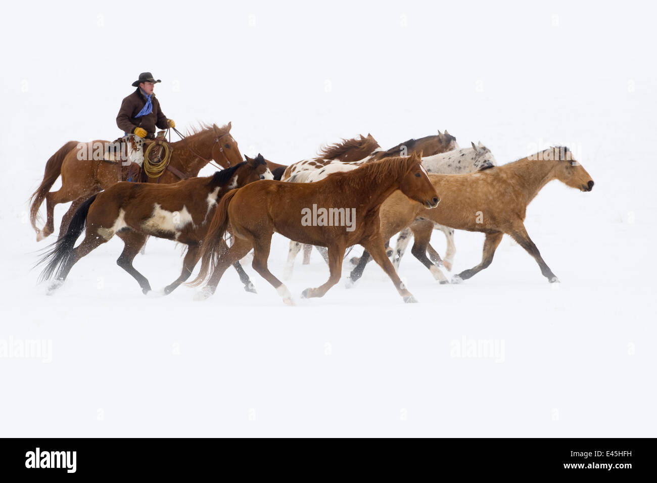 2008 full length side view Cut Out Stock Images & Pictures - Alamy