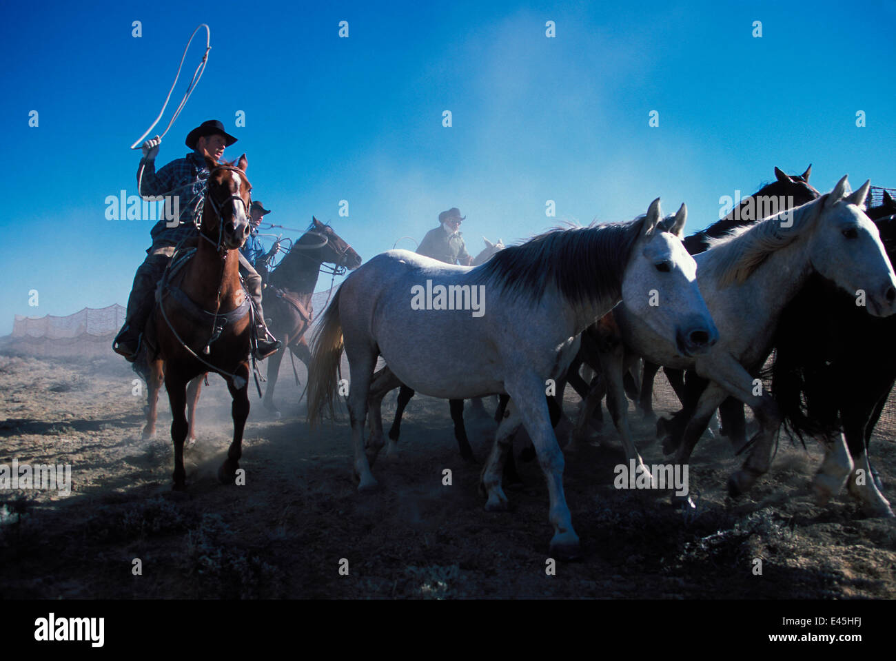 Three cowboys on horseback hi-res stock photography and images - Alamy
