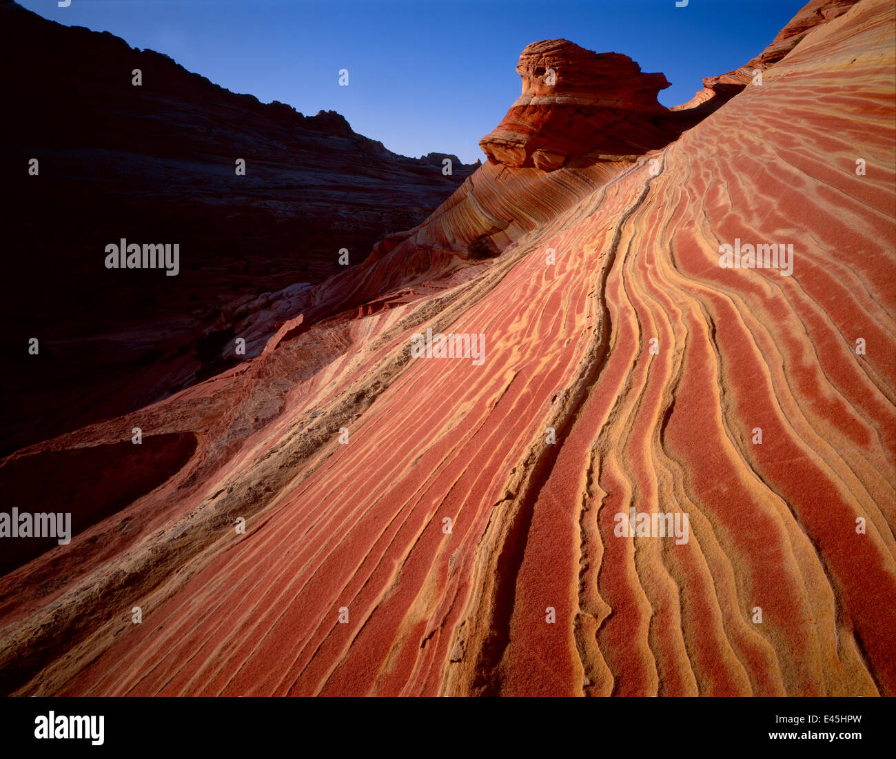 Striated bands hi-res stock photography and images - Alamy