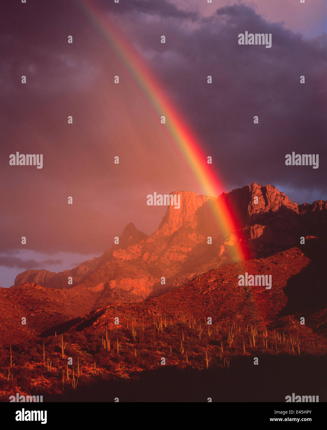 Santa catalina mountains arizona sunset hi-res stock photography and ...