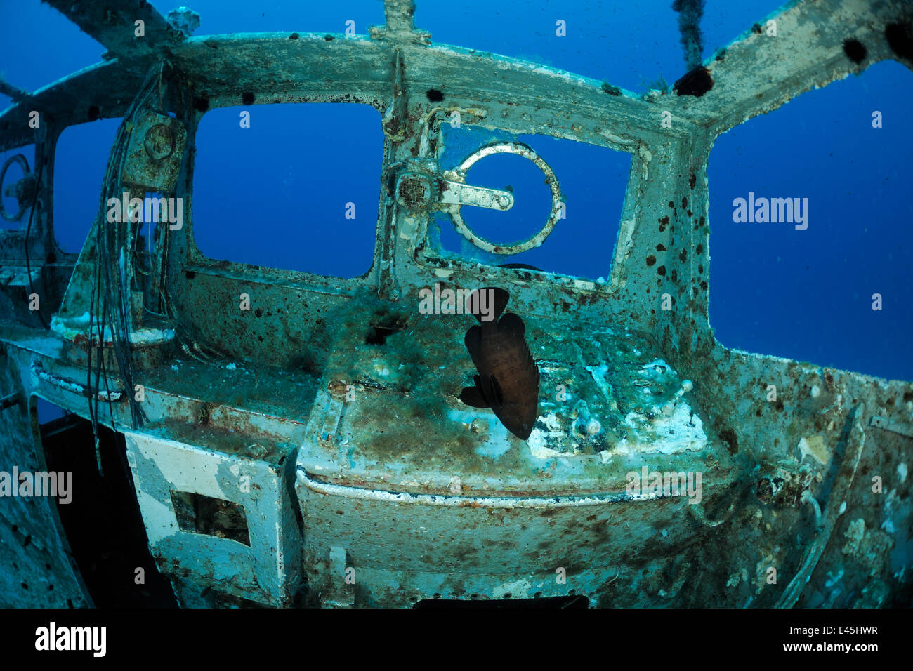 P29 hi-res stock photography and images - Alamy