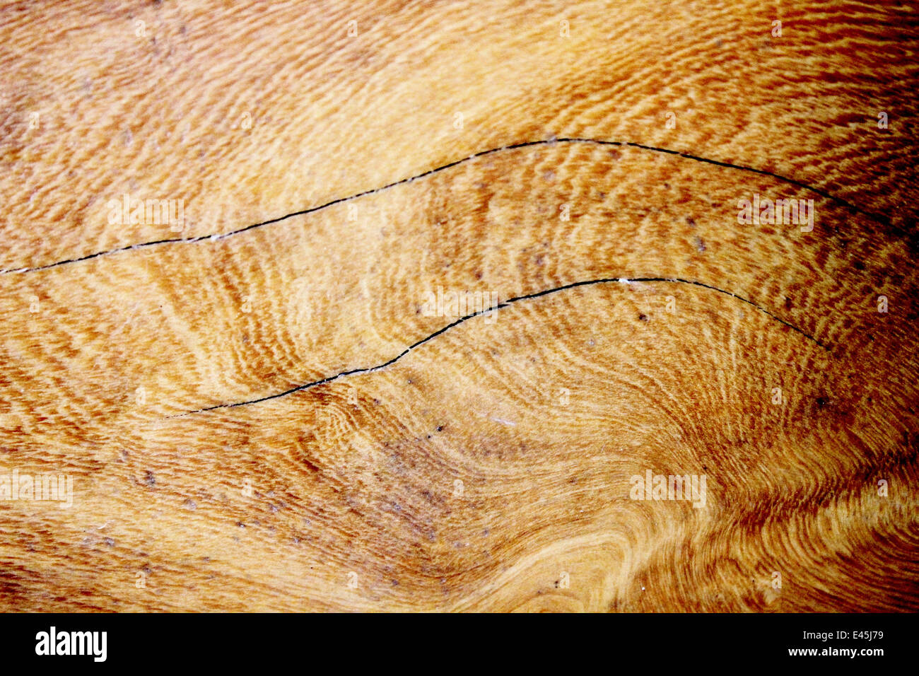 Luxury wood texture hi-res stock photography and images - Alamy