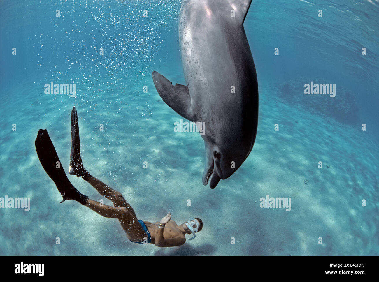 Humans interacting animals hi-res stock photography and images - Alamy