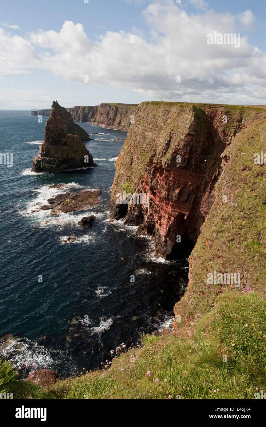 The Stacks of Duncansby looking north towards Duncansby Head, Caithness ...