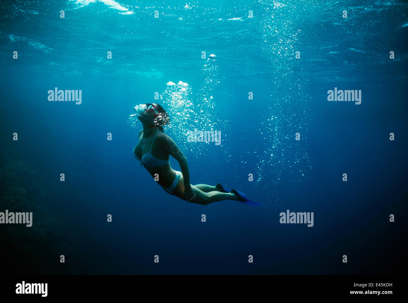 Free diver bikini hi-res stock photography and images - Alamy