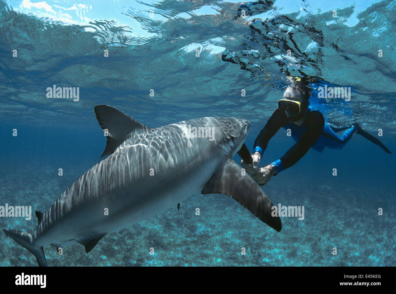 Neal watson hi-res stock photography and images - Alamy