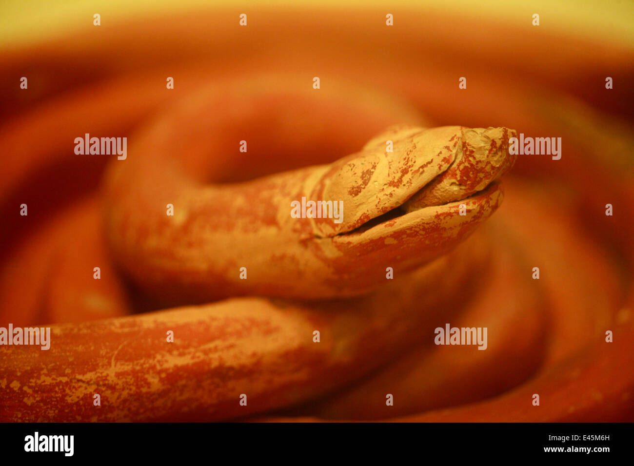 Snakes Of Greece Stock Photos & Snakes Of Greece Stock Images - Alamy