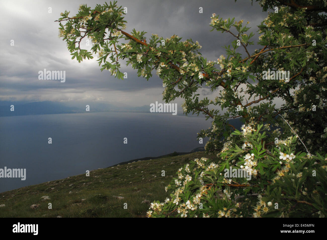 Mount baba hi-res stock photography and images - Alamy