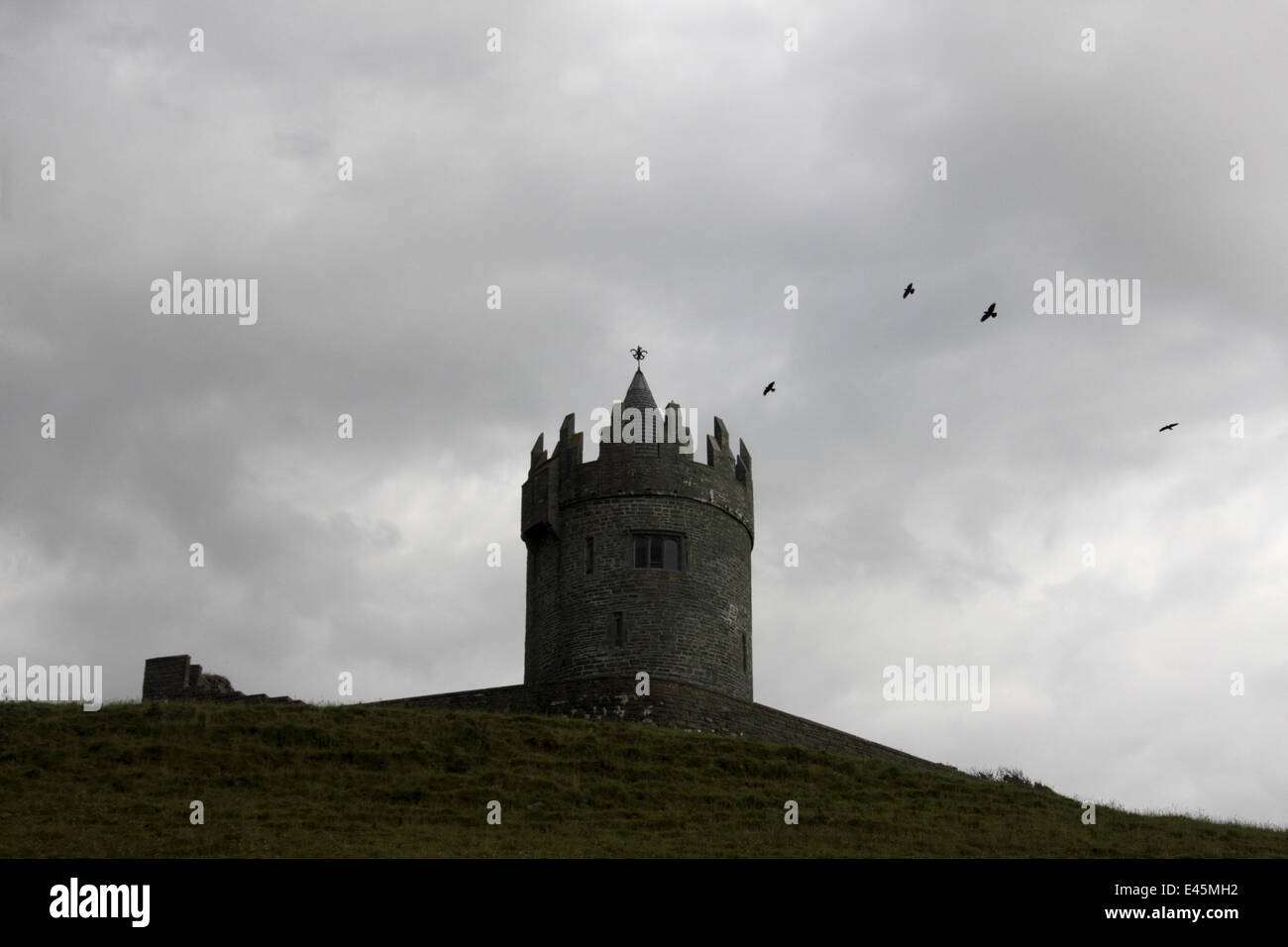 Tower Crows High Resolution Stock Photography and Images - Alamy