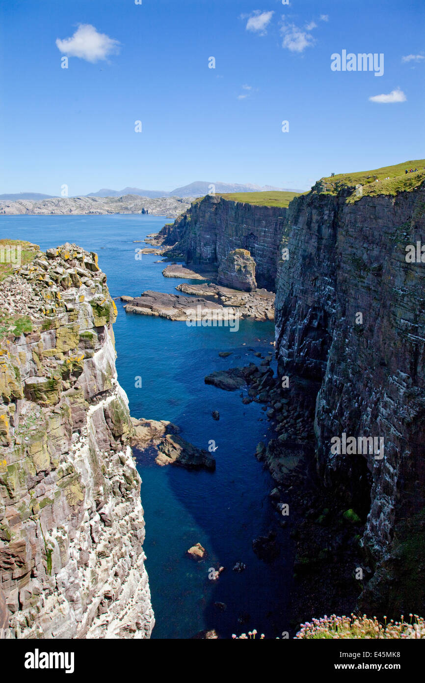 Seabird breeding cliffs, northern end of Handa Island, off the north ...