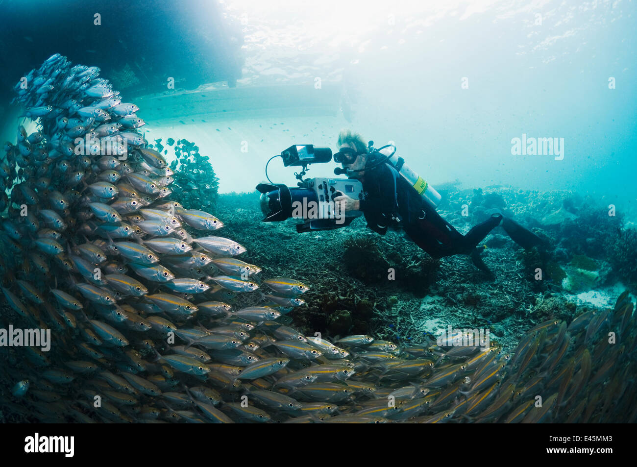 Peter scoones hi-res stock photography and images - Alamy