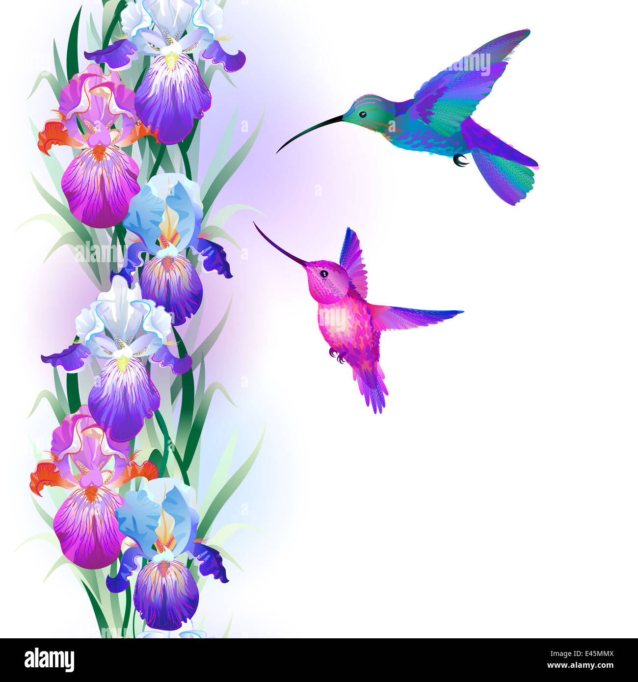 Hummingbird valentine hi-res stock photography and images - Alamy
