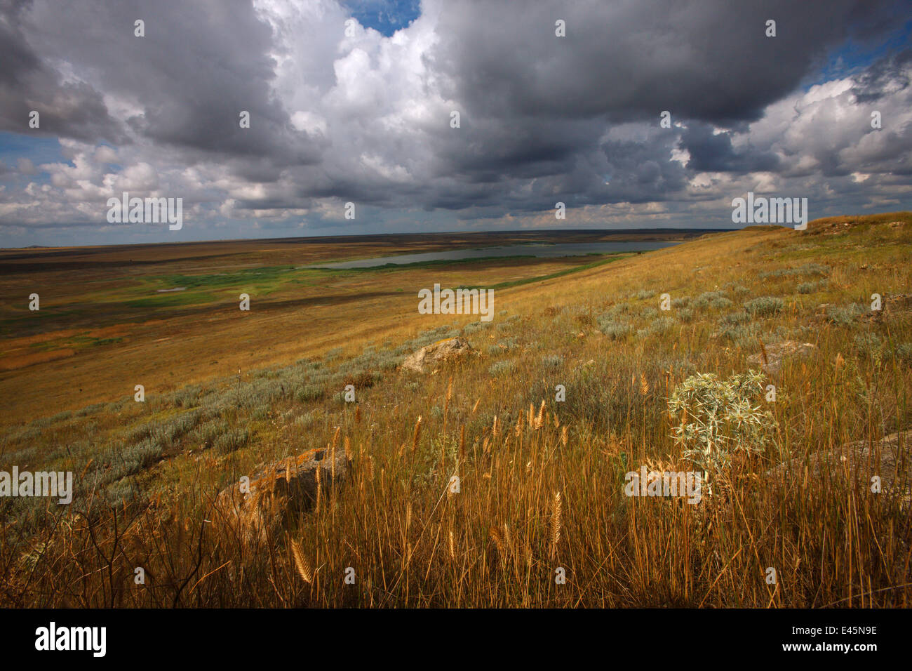 Steppe landscape, Bagerova Steppe, Kerch Peninsula, Crimea, Ukraine ...