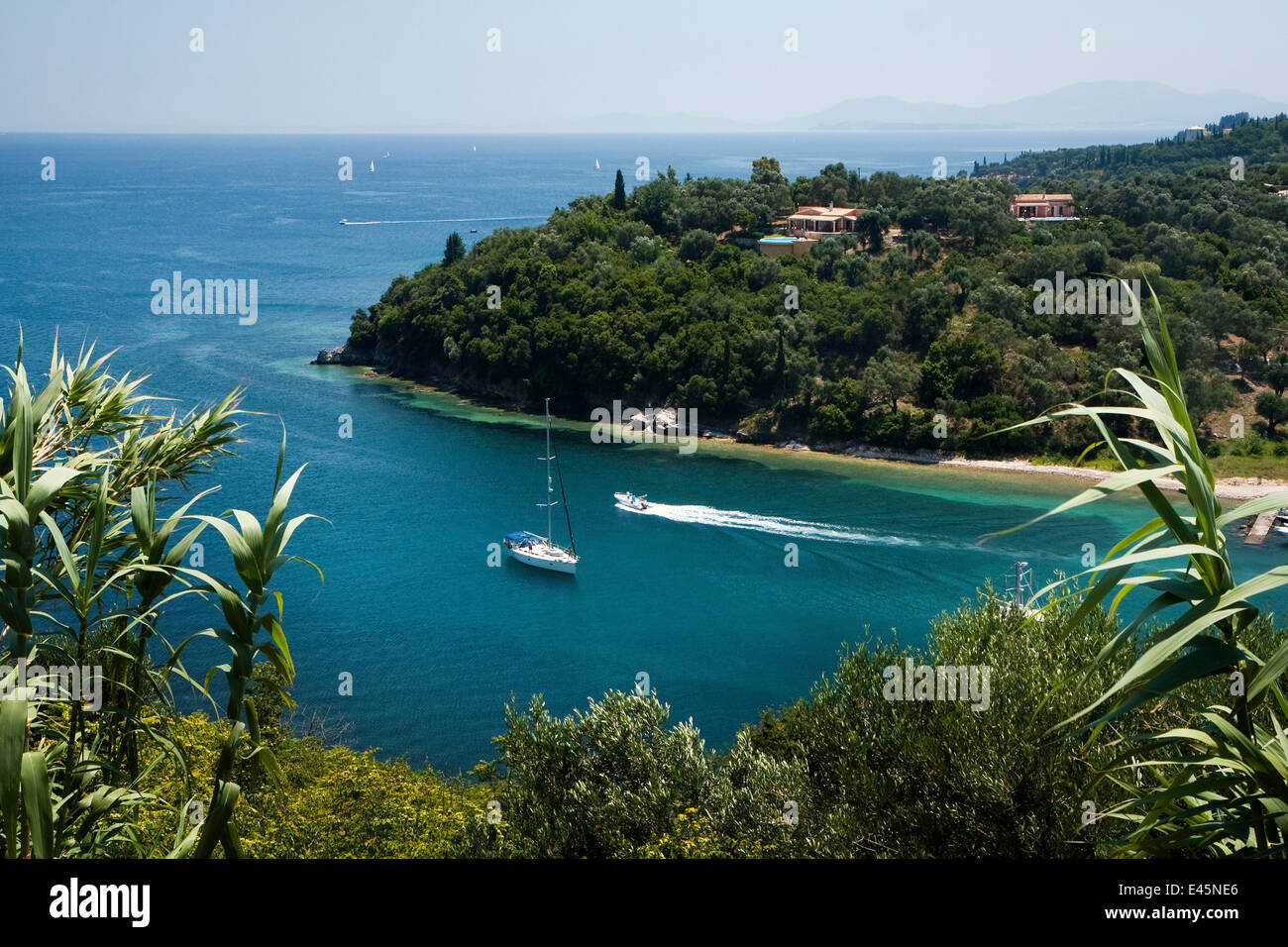 Headland off San Stefanos Bay, Corfu, Greece, June 2010 Stock Photo - Alamy