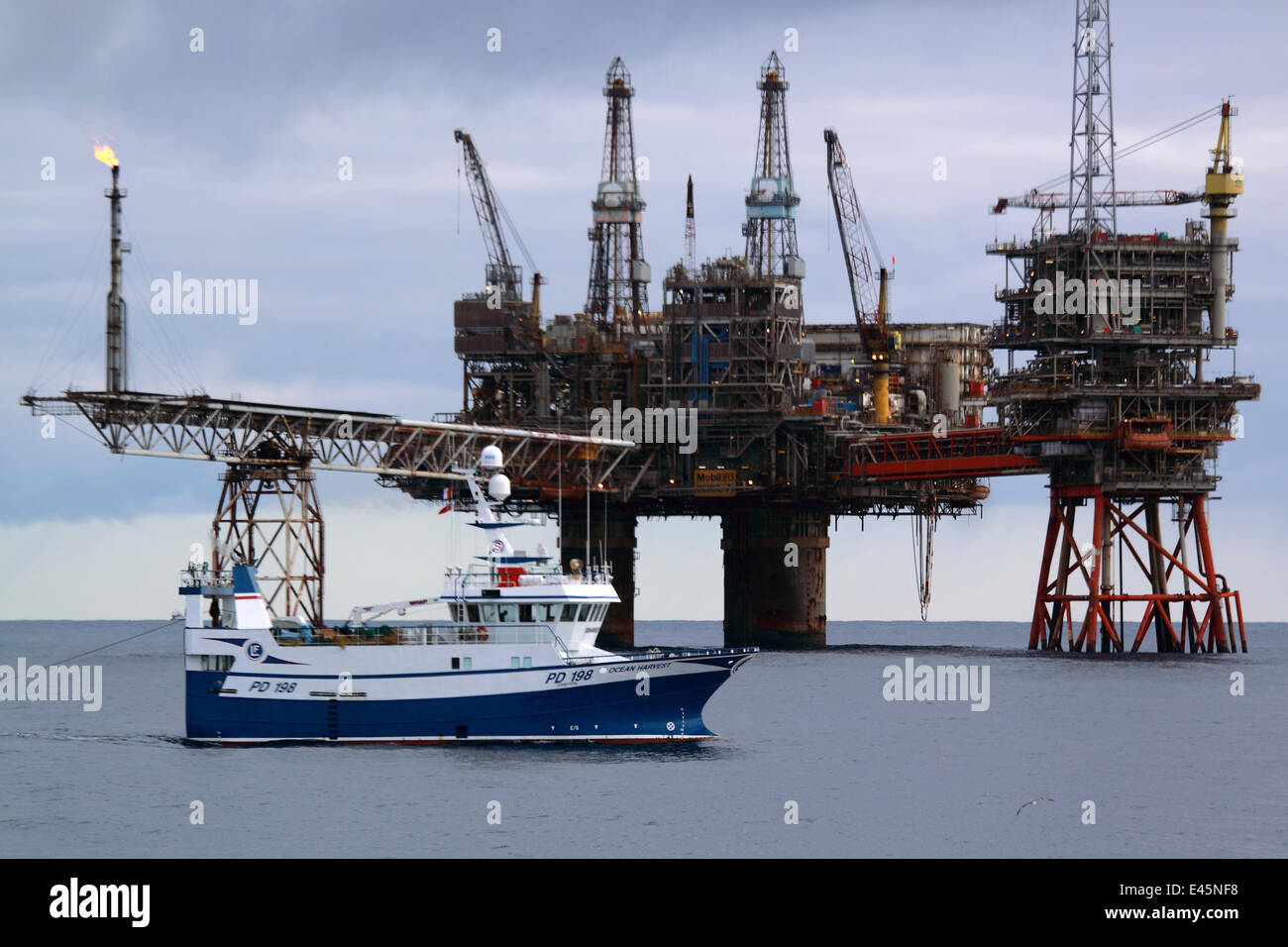 Fishing vessel Ocean Harves" operating close to the Beryl Alpha ...