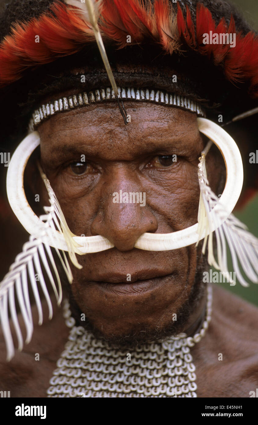 Man bone nose hi-res stock photography and images - Alamy