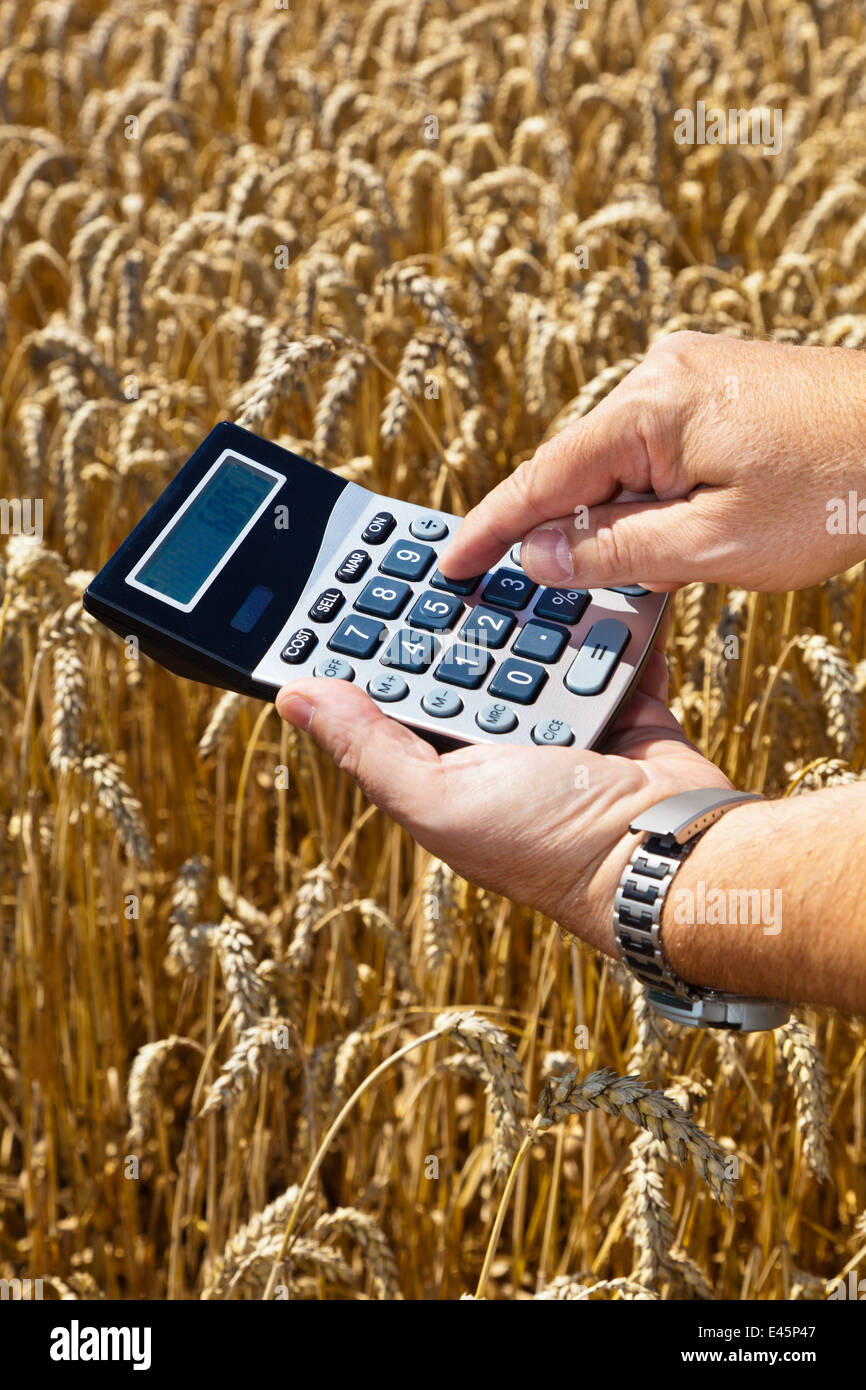 A farmer with a calculator on crop field. Subsidies in agriculture ...