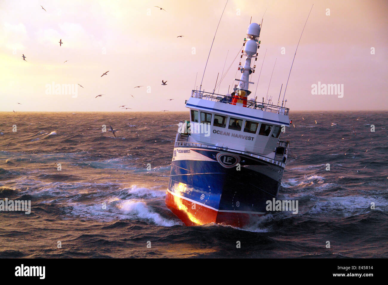 Fishing vessel Ocean Harvest on the North Sea May 2010. Property ...
