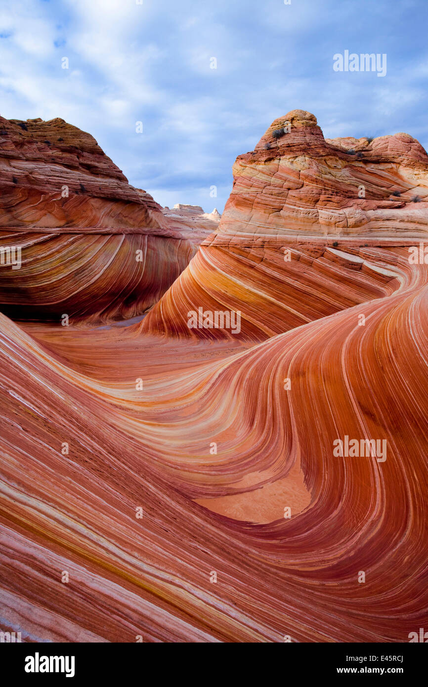 Sensationally twisted sandstone curves of Arizona's famous wave ...